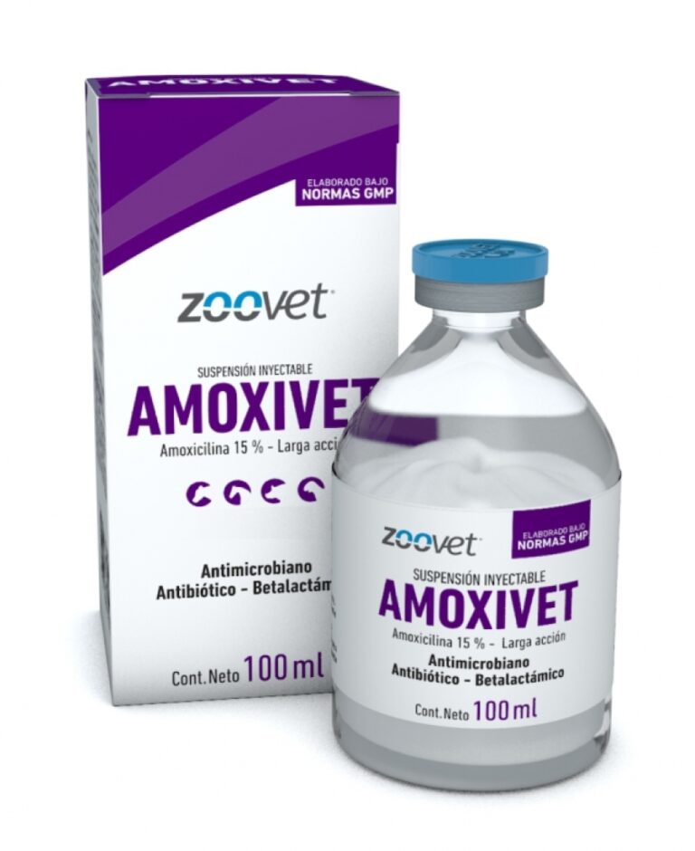 AMOXIVET x 100 cc - 6 de Agosto