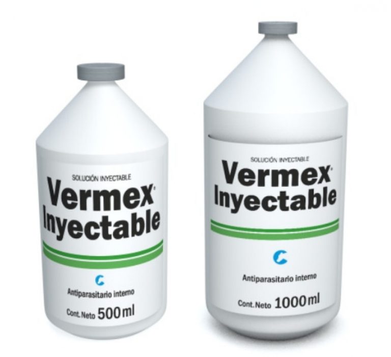 VERMEX INYECTABLE X 500CC - 6 de Agosto